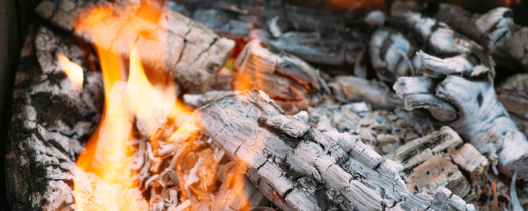 Whatcom County Fire District 7